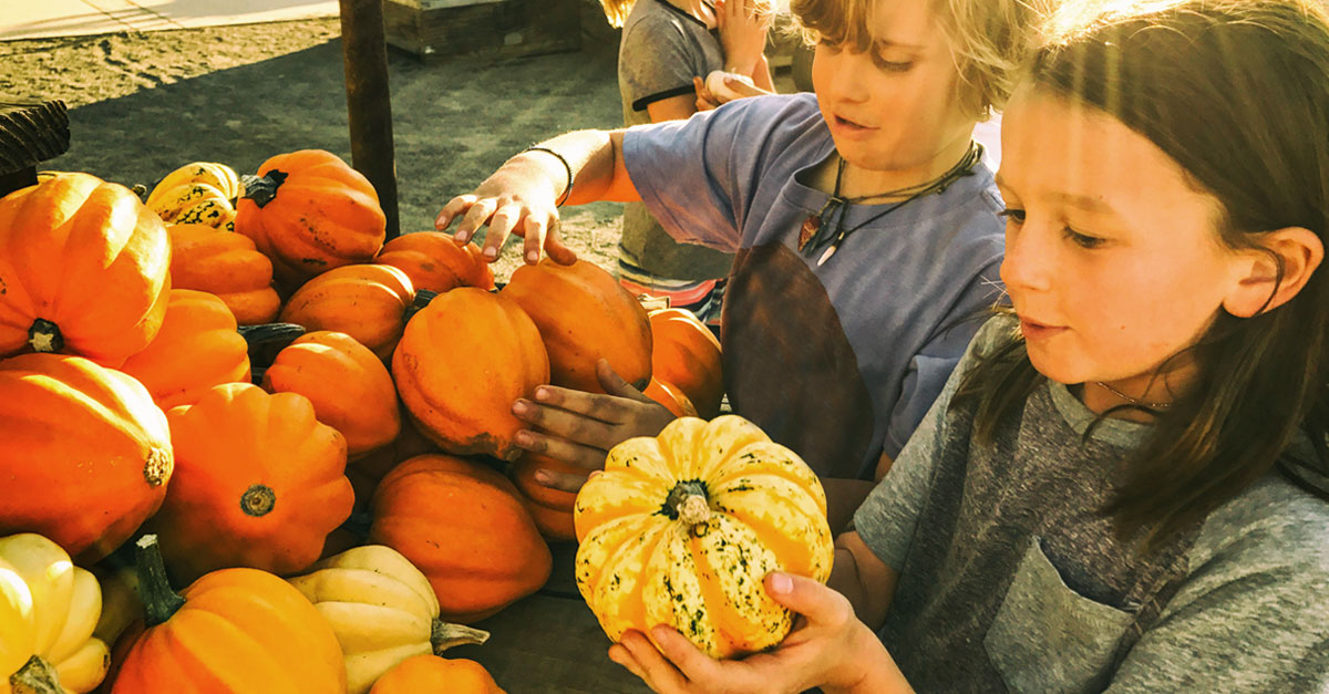 6 conseils pour aider votre enfant à aimer les fruits et légumes ...